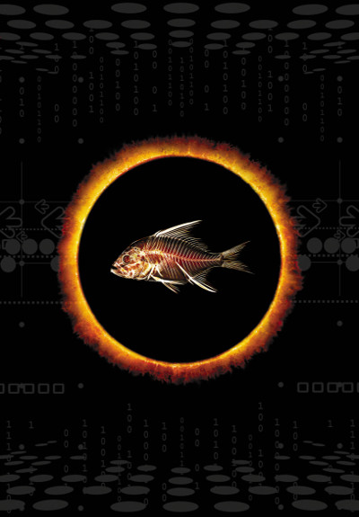 The Moveable Feast- Big Bus Blogs 1 "Floral Pavilion" - FISH